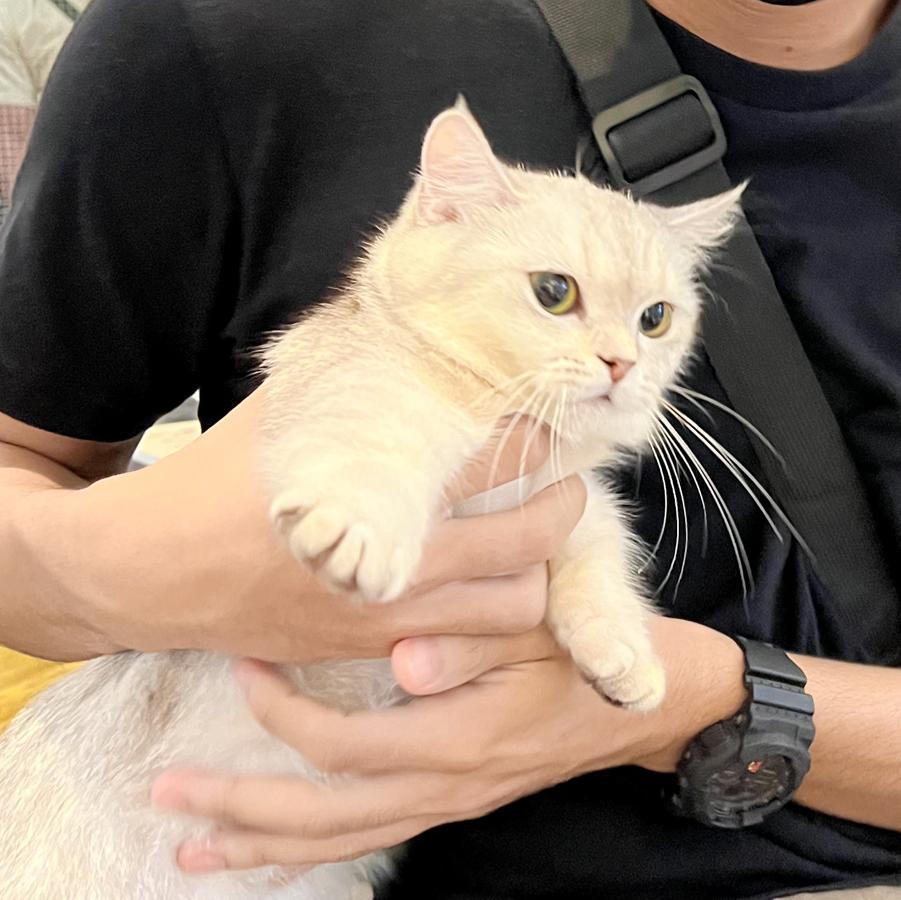 โพสต์ ของ Kk|Lemon8