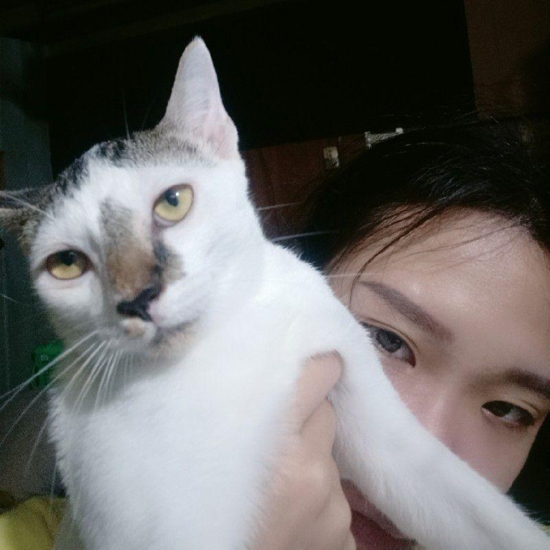 โพสต์ ของ Bee|Lemon8