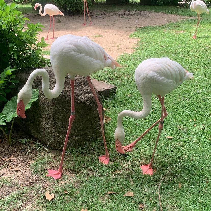 โพสต์ ของ I'AM|Lemon8