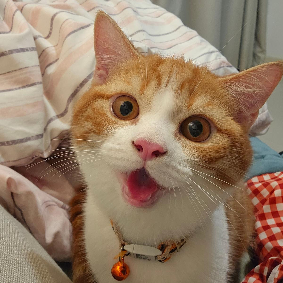 โพสต์ ของ It's me LUCKY|Lemon8