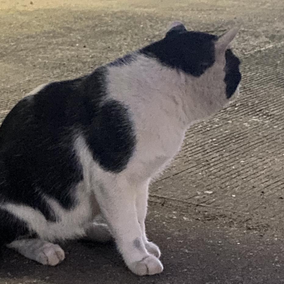 โพสต์ ของ ING🩵|Lemon8