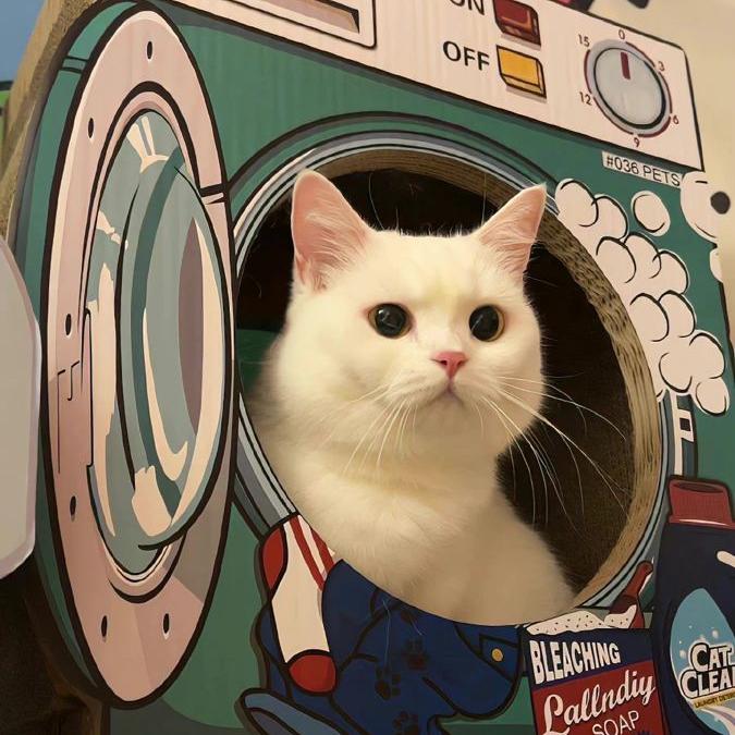 โพสต์ ของ PACHARA.PHA|Lemon8