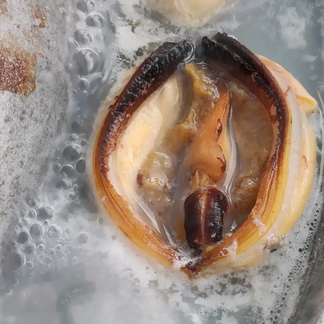 โพสต์ ของ zobi|Lemon8