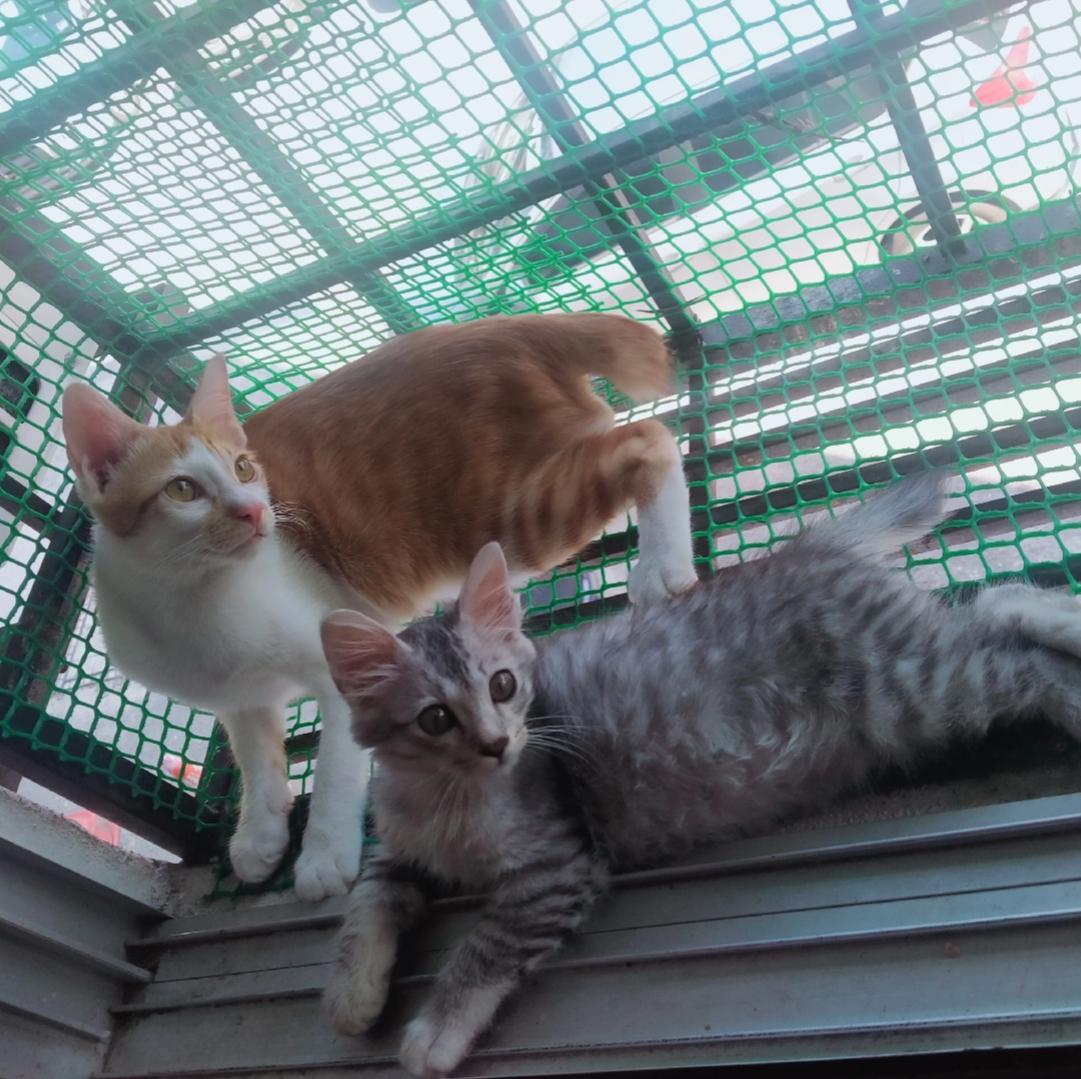 mika🤍's Post|Lemon8