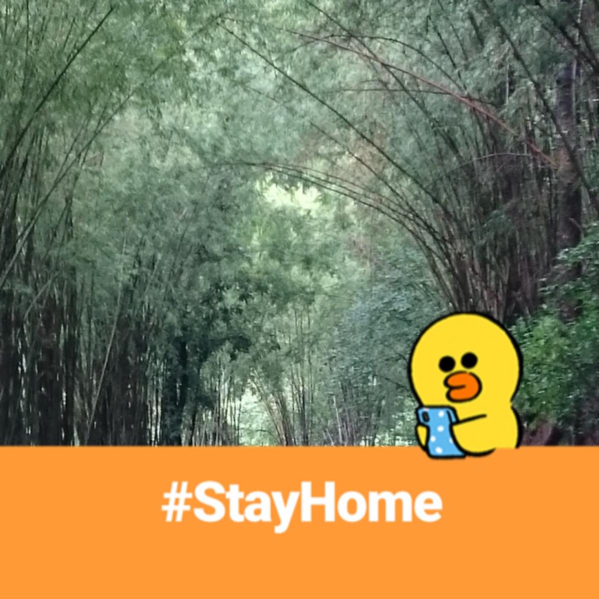 โพสต์ ของ Jantima Piyasil|Lemon8