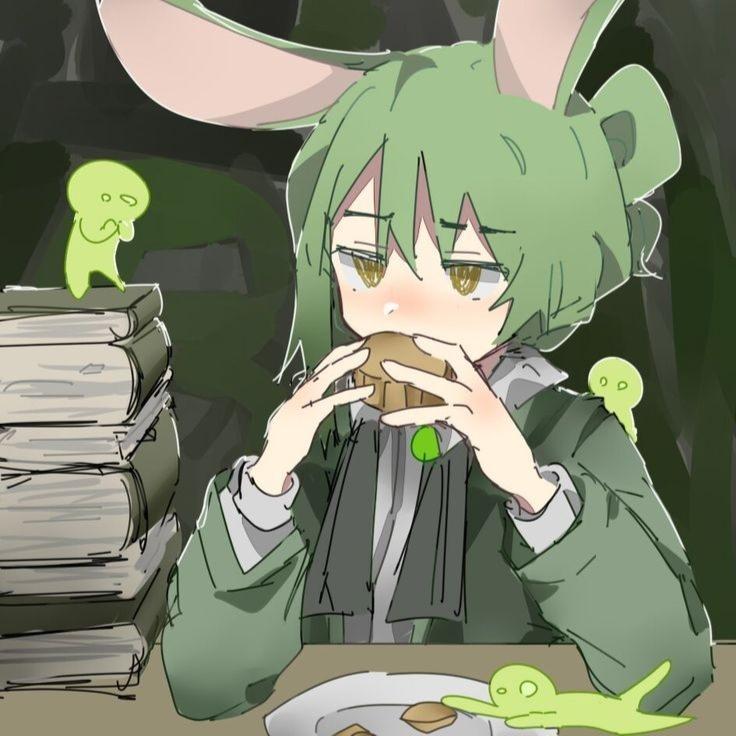 โพสต์ ของ no|Lemon8