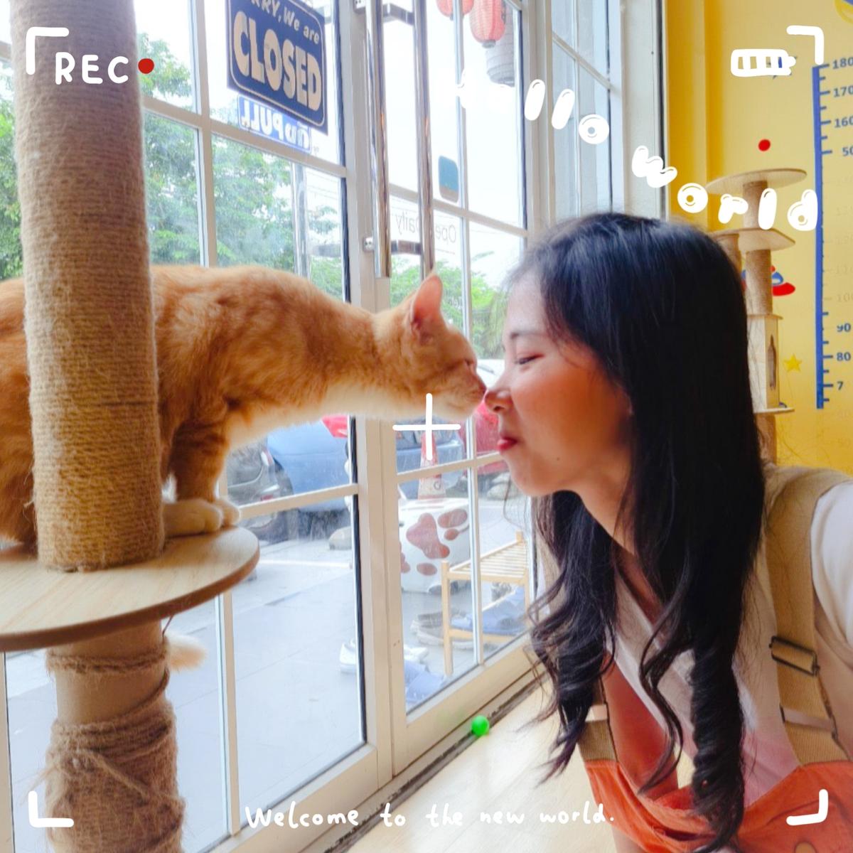 โพสต์ ของ boom min|Lemon8