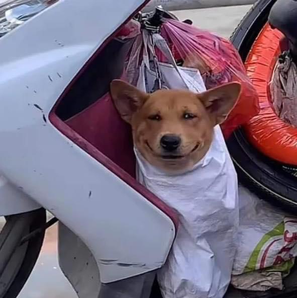 โพสต์ ของ Mybestversion |Lemon8