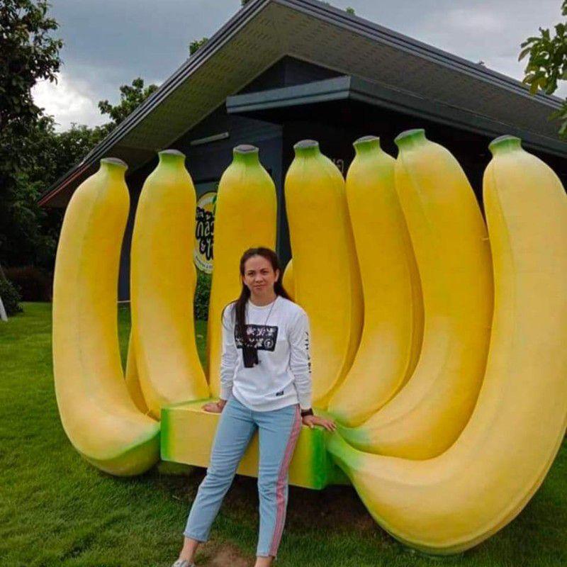 โพสต์ ของ Busaba|Lemon8