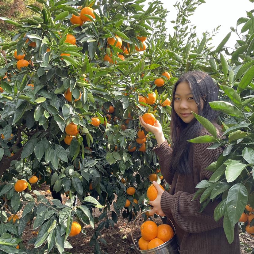 โพสต์ ของ chloe|Lemon8