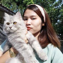 โพสต์ ของ Pranee Ch|Lemon8