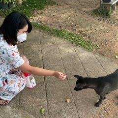 โพสต์ ของ Tan Pakamon|Lemon8