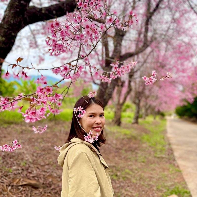 โพสต์ ของ Pong|Lemon8