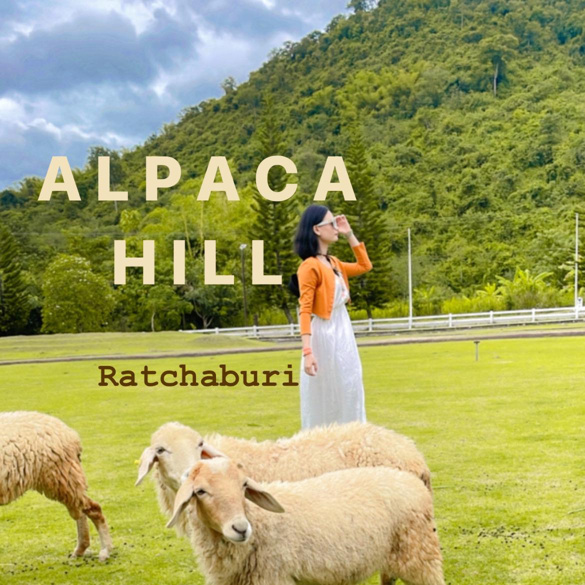 โพสต์ ของ WIPADA. W|Lemon8