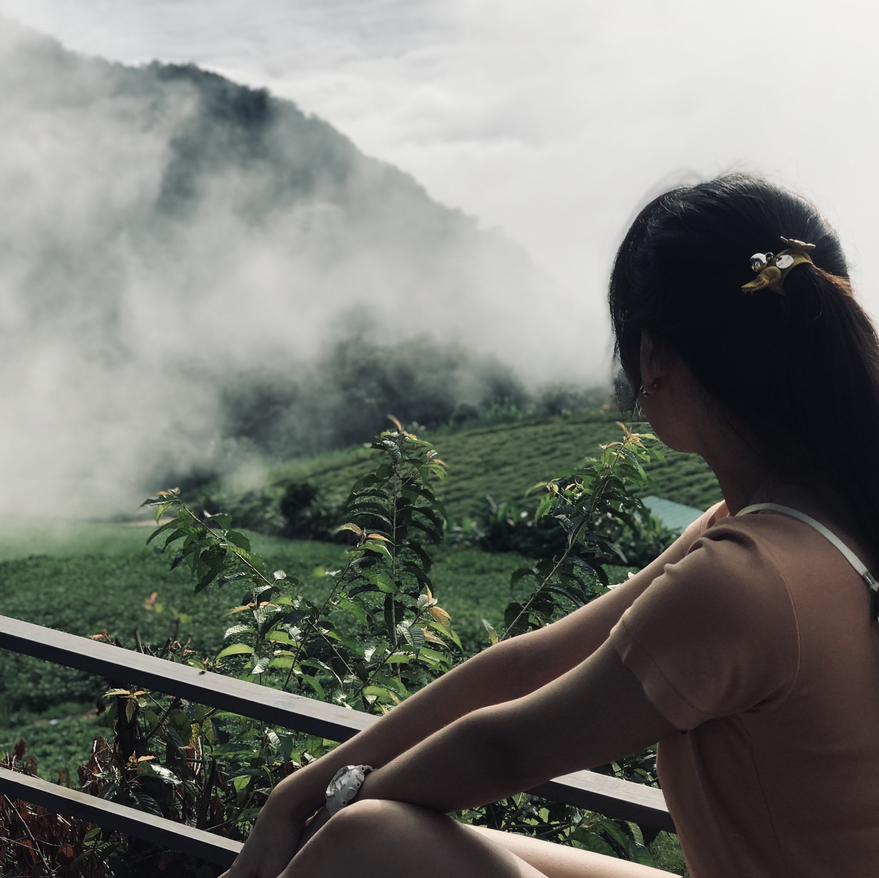 โพสต์ ของ Kkat|Lemon8