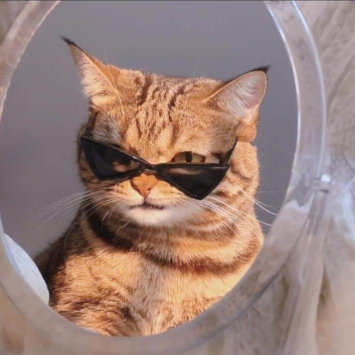 โพสต์ ของ 𝓛𝓲𝓷|Lemon8