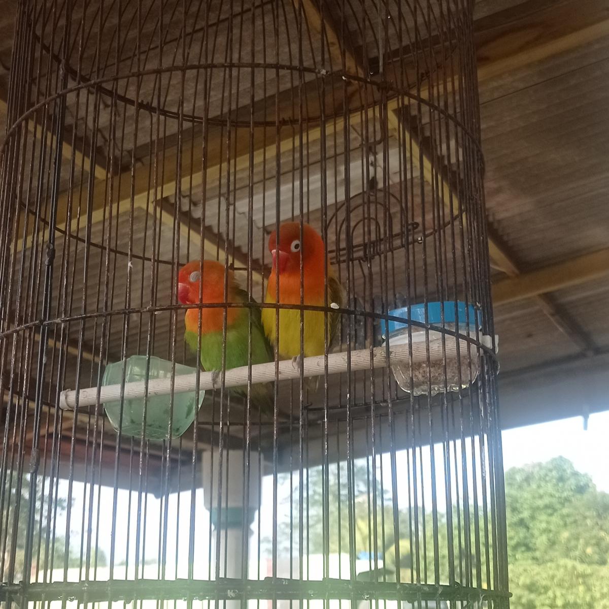 Posting Dewi Suci|Lemon8