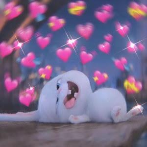 โพสต์ ของ D. nxt|Lemon8