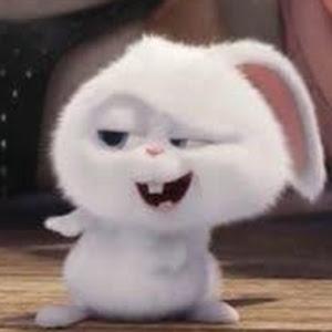 โพสต์ ของ Snowball rabbit|Lemon8