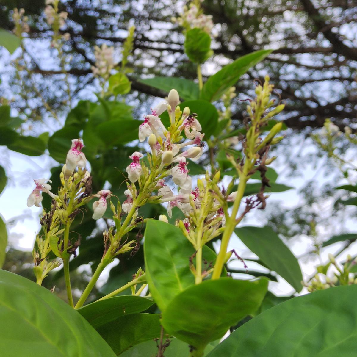 Posting Cinta|Lemon8