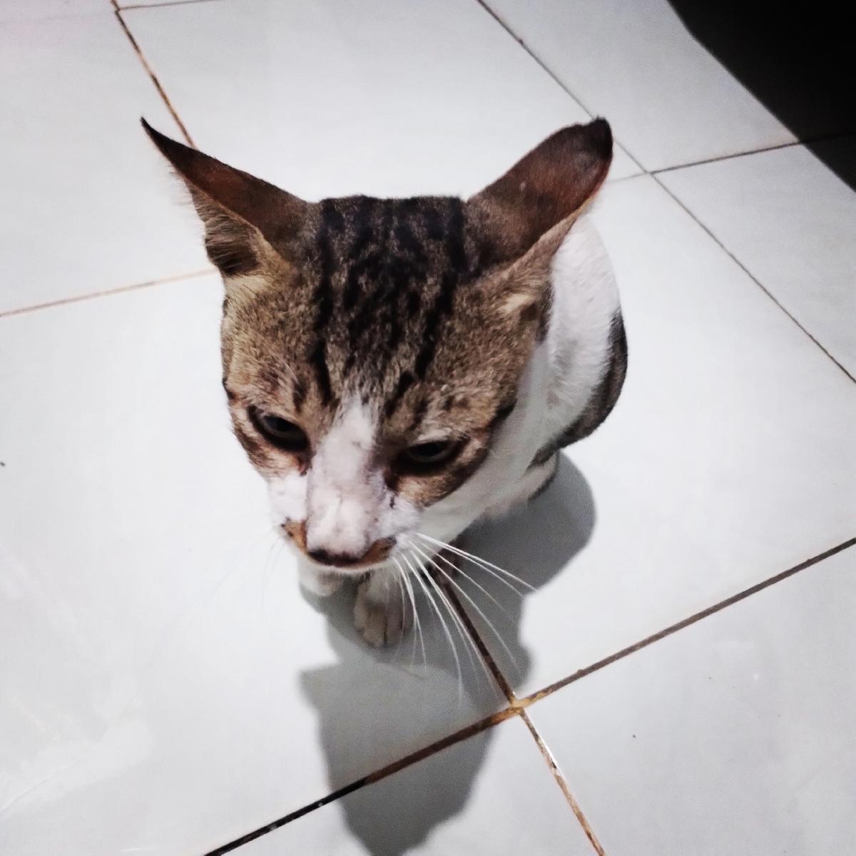 Posting Nemsy Oktavia|Lemon8