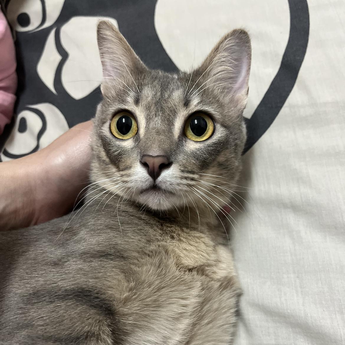 โพสต์ ของ popla|Lemon8