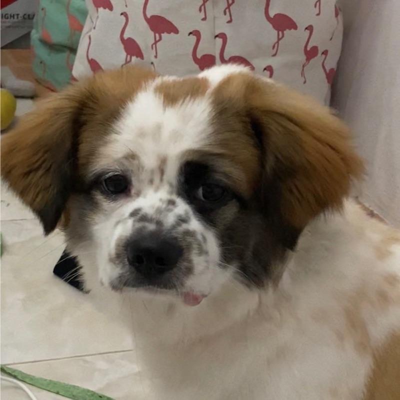 โพสต์ ของ noey|Lemon8