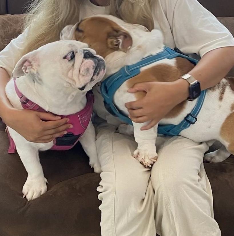 โพสต์ ของ Lizzy&Benji |Lemon8