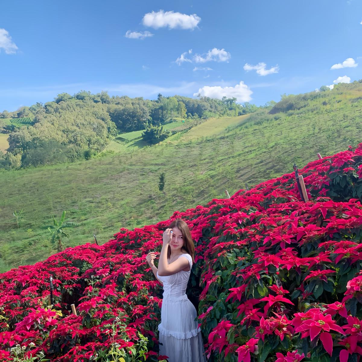 โพสต์ ของ Palika Ae|Lemon8