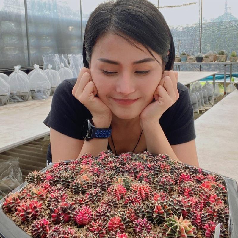 โพสต์ ของ Tida|Lemon8