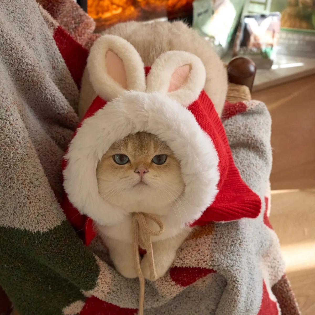 Easter Dragon's Post|Lemon8