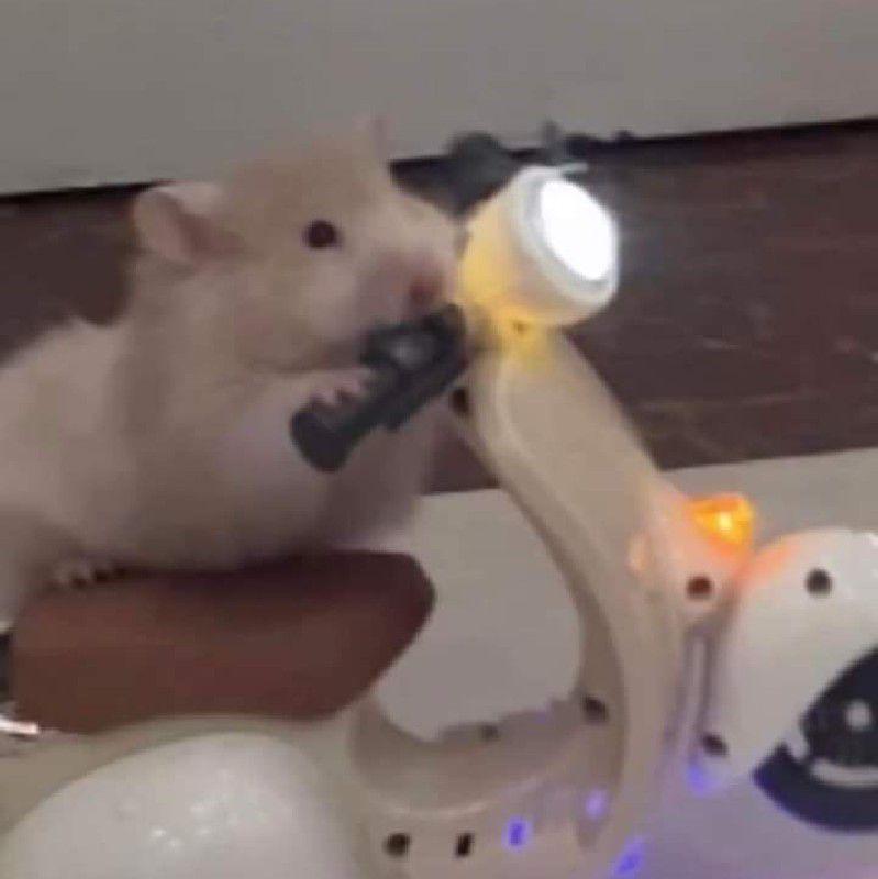 โพสต์ ของ praphasri|Lemon8