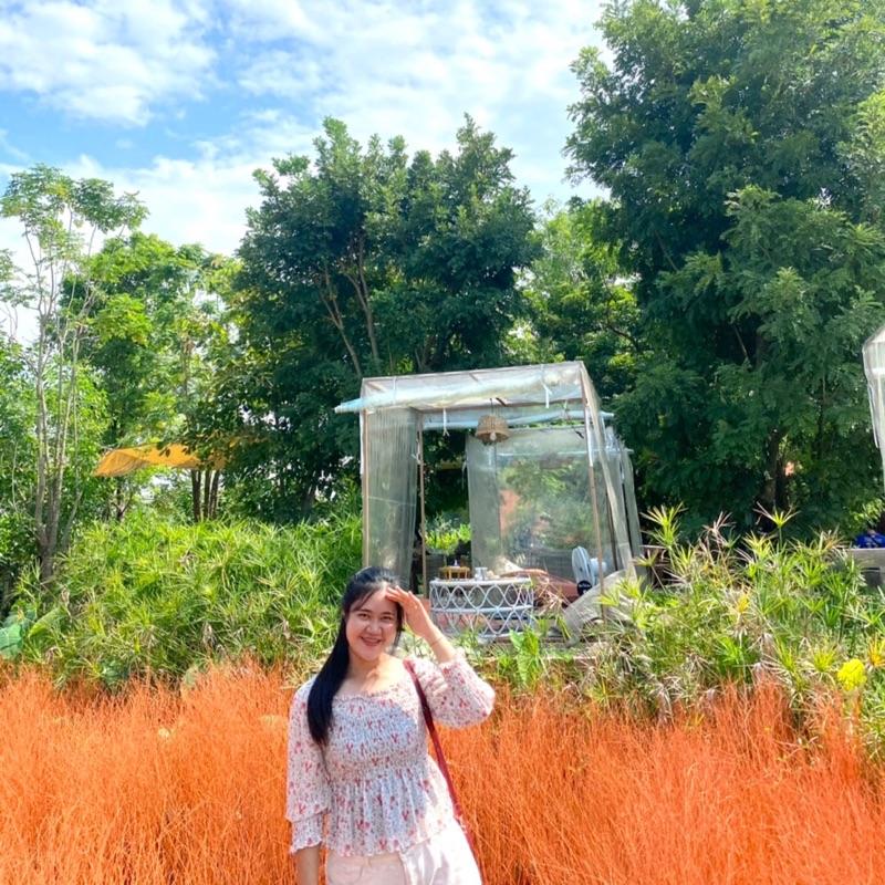 โพสต์ ของ Chen Ping Fei|Lemon8