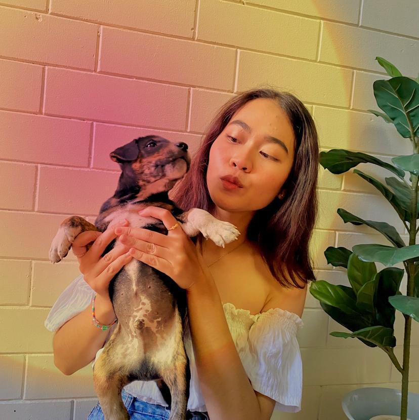 โพสต์ ของ Pupae|Lemon8