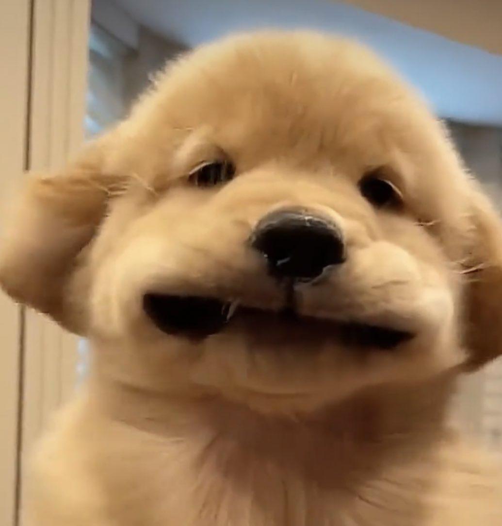 โพสต์ ของ Fernch|Lemon8