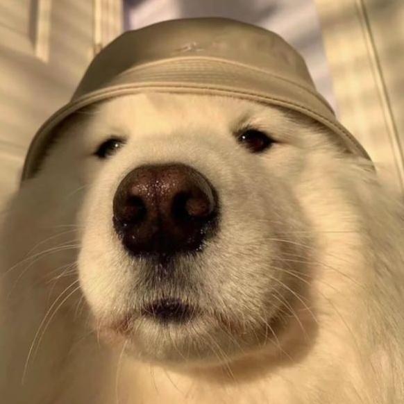 ppppppp's Post|Lemon8