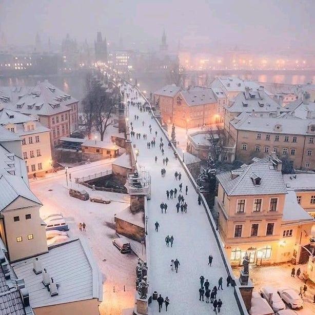 โพสต์ ของ geegee s.|Lemon8