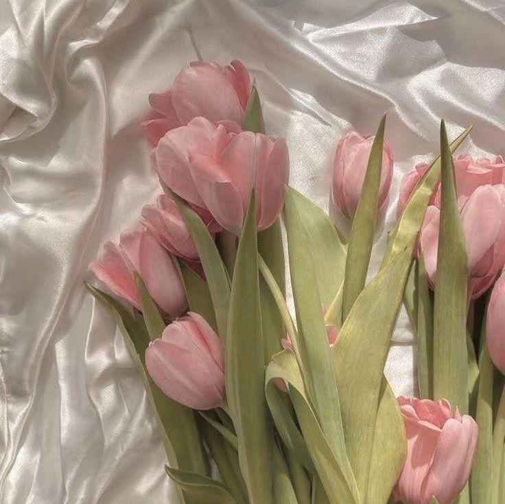 Posting sun🕊️|Lemon8