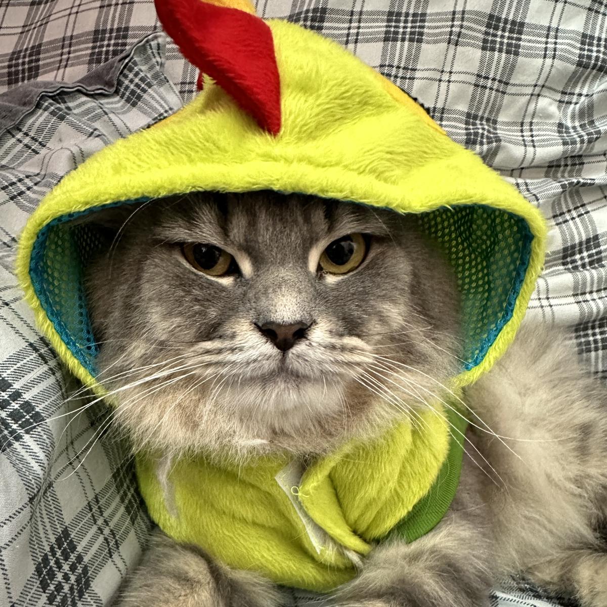 โพสต์ ของ Bx|Lemon8