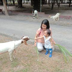 โพสต์ ของ Natthaphat Phan|Lemon8