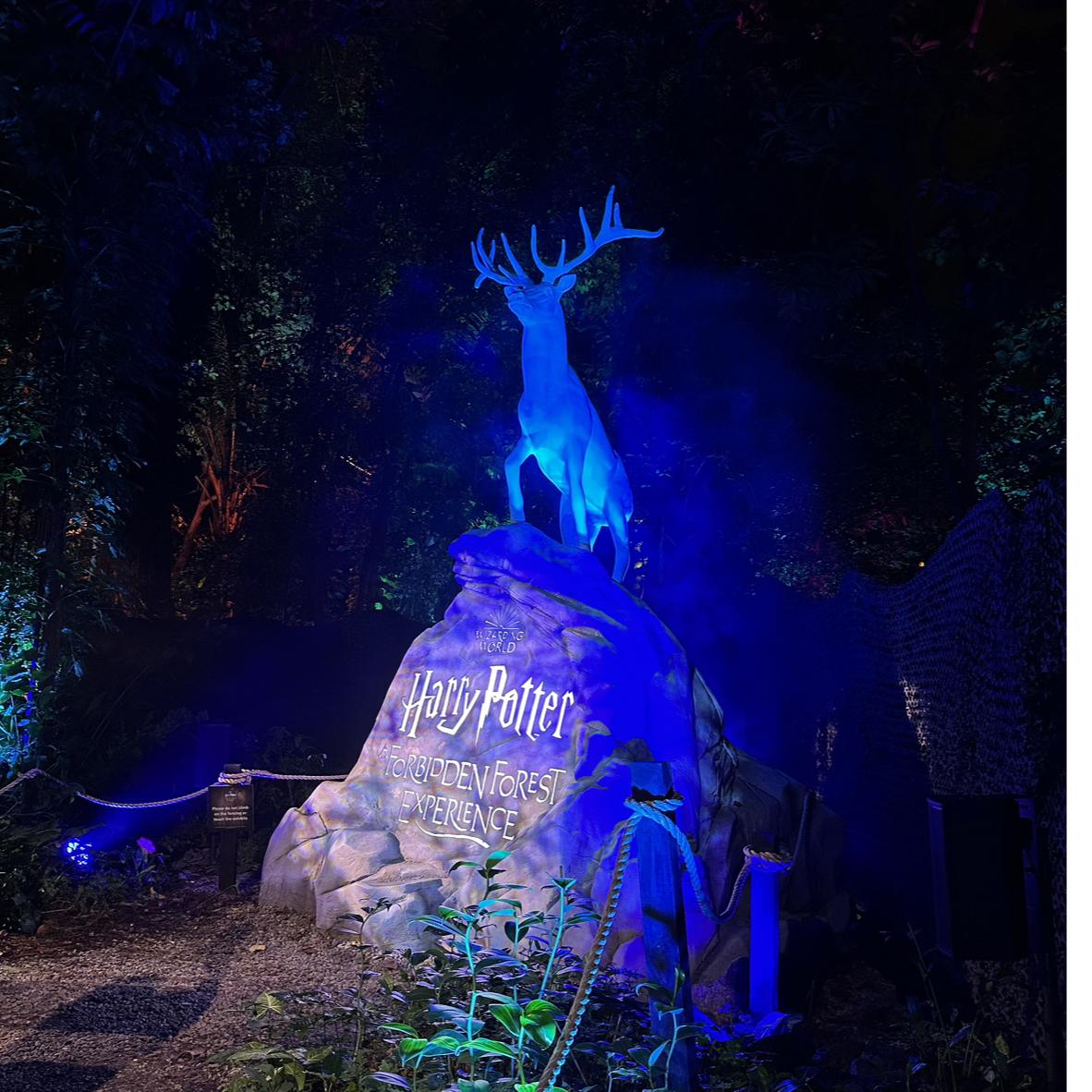 โพสต์ ของ Hello from me|Lemon8