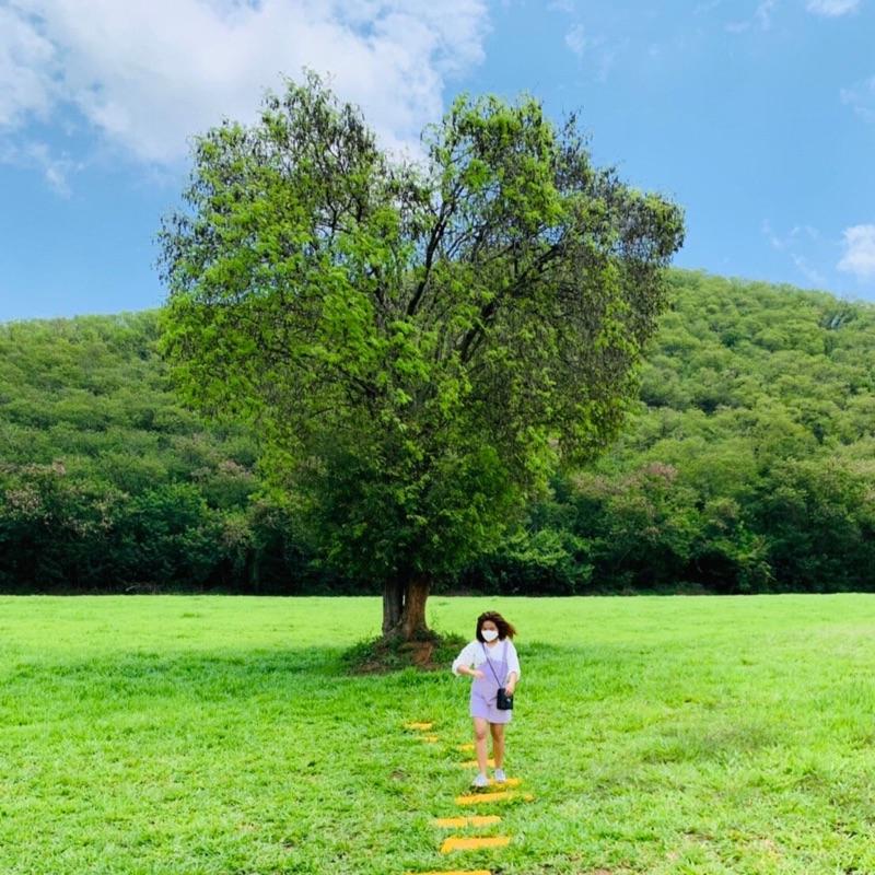 โพสต์ ของ “Lotus Colour”|Lemon8