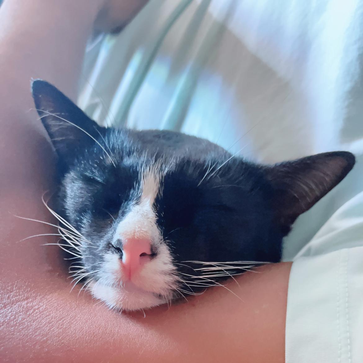 โพสต์ ของ jurarat |Lemon8