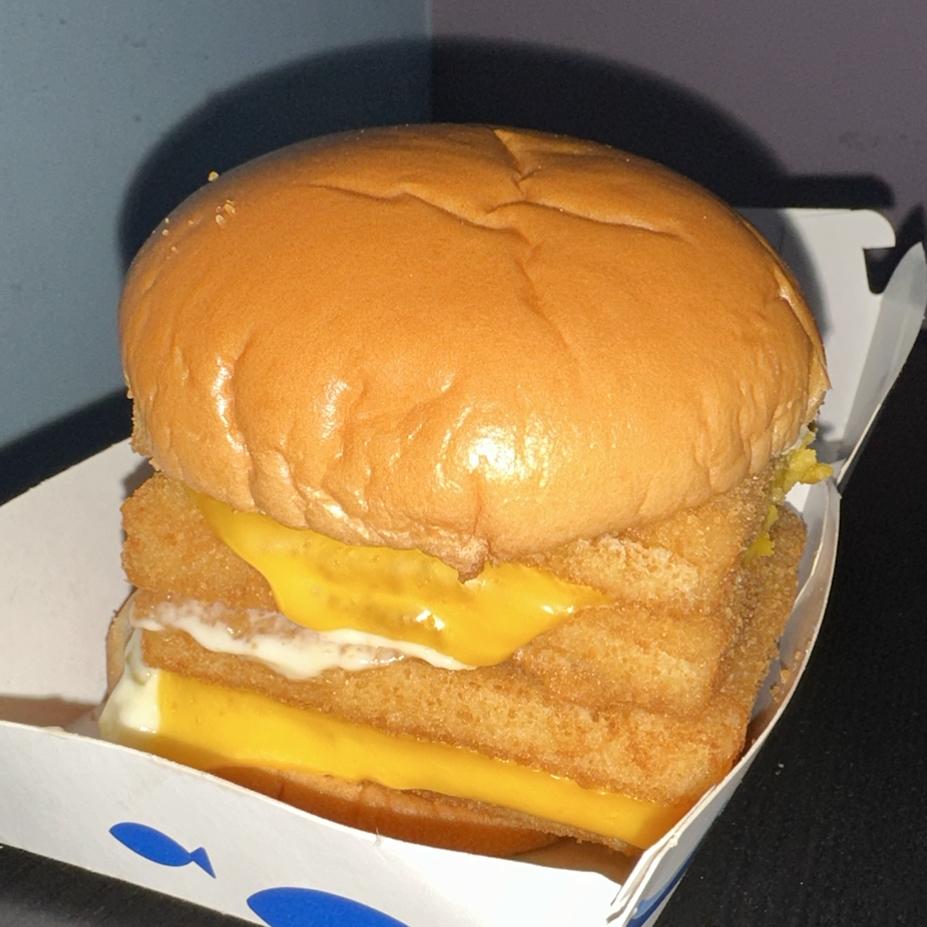 fishburgers's Post|Lemon8