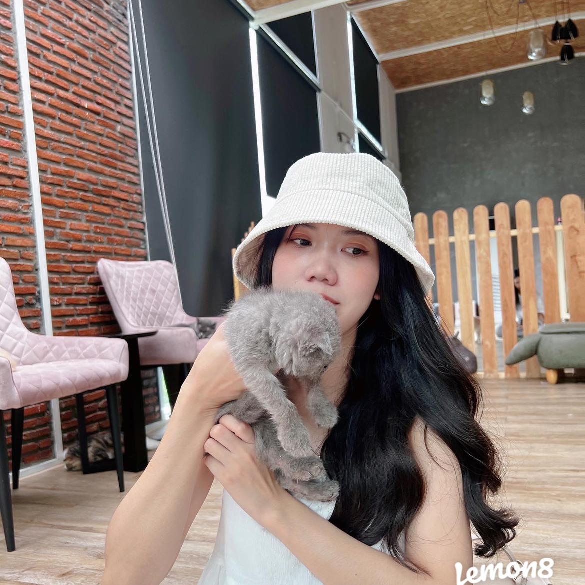 ᴋᴜᴍᴄᴀʀᴛᴏᴏɴ's Post|Lemon8