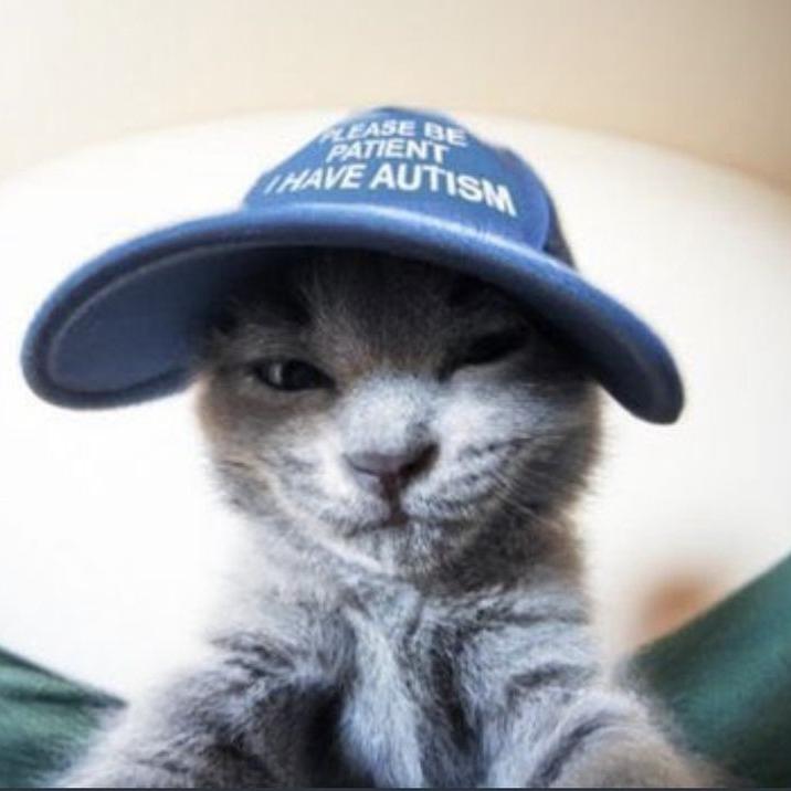 โพสต์ ของ K A R N N|Lemon8