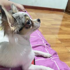 โพสต์ ของ Mo Na|Lemon8