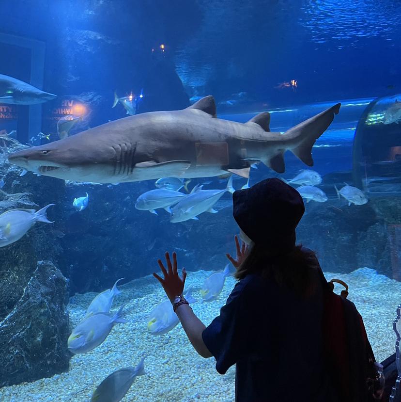 โพสต์ ของ Miles|Lemon8