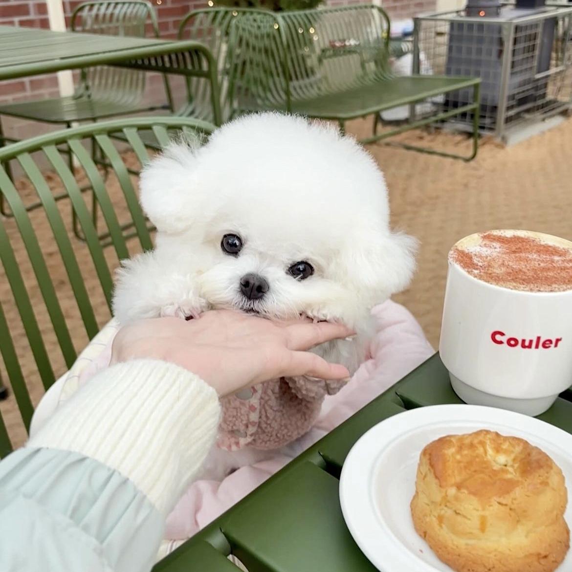 โพสต์ ของ Jarin|Lemon8