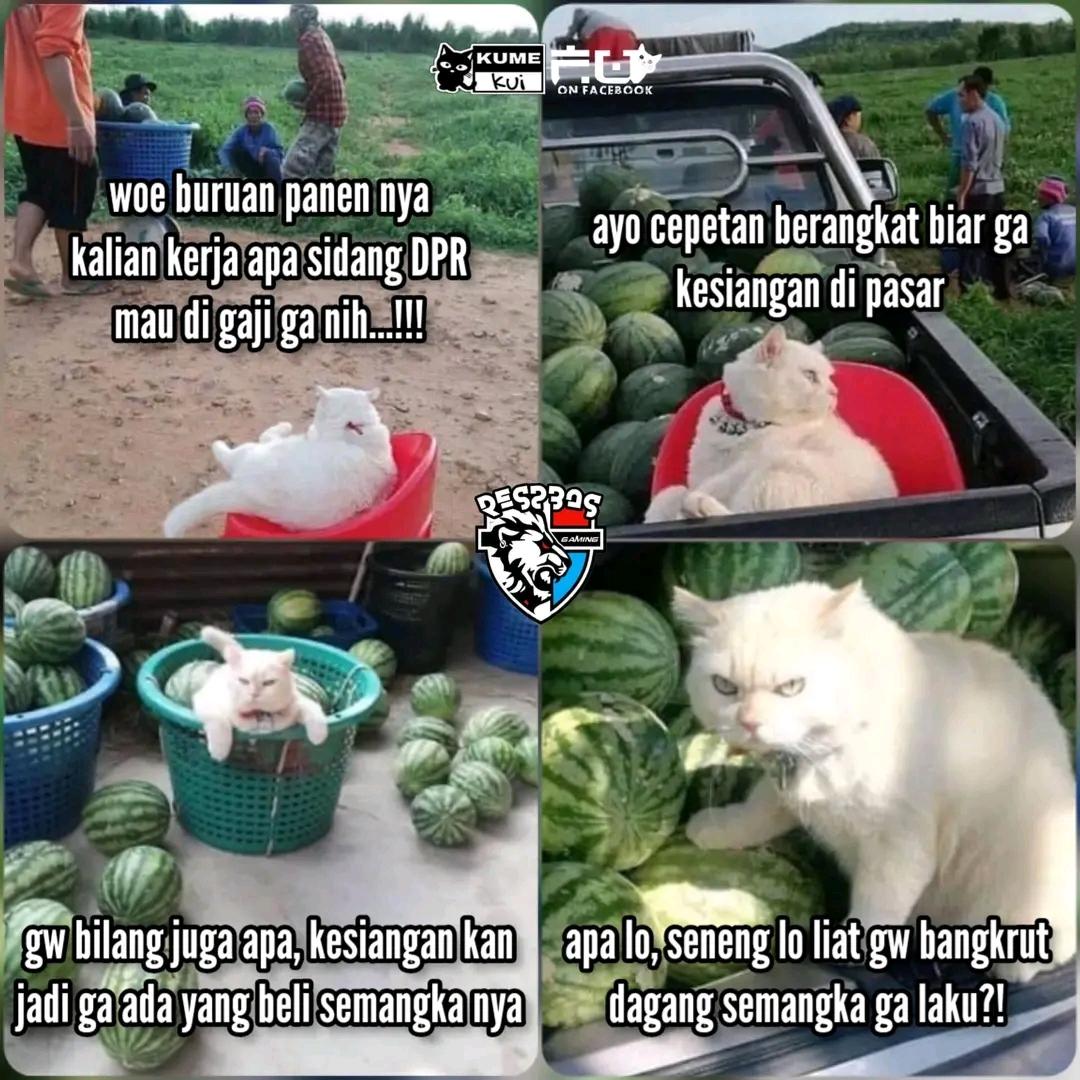 Posting Mr Black|Lemon8